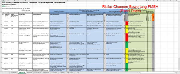 Chancen nutzen, Risiken überwachen (Print + E-Book ...