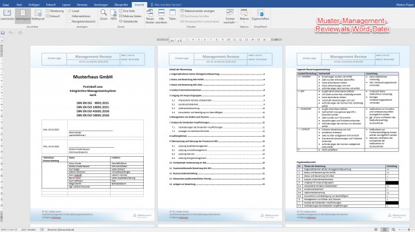 Das integrierte Management-Review | Qualitätsmanagement ...